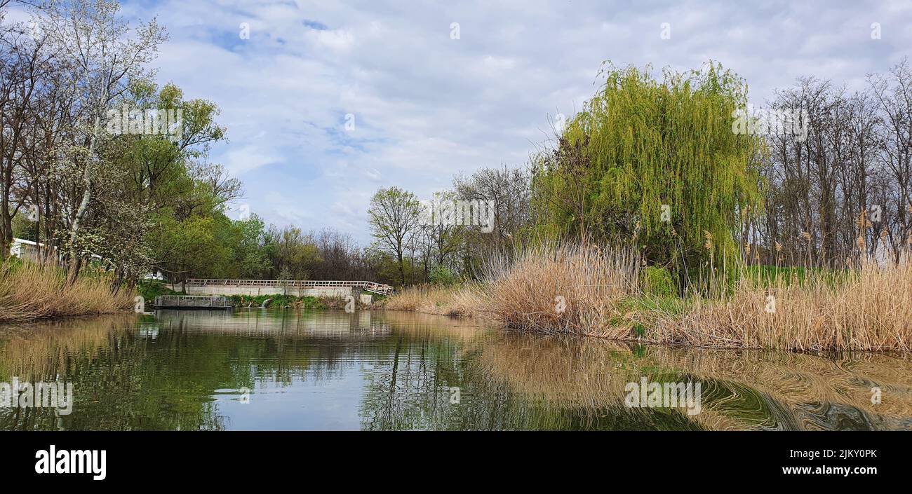 The beautiful natural landscape shot with a tree reflection on a river ...