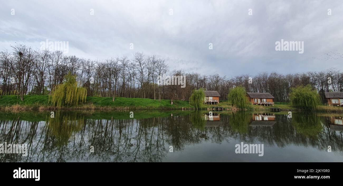 The beautiful natural landscape shot with a tree reflection on a river ...