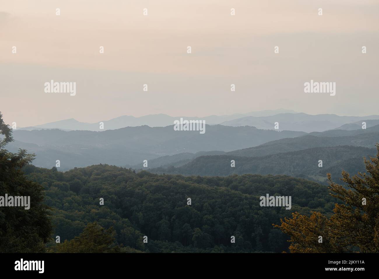 A scenic view through the branches of trees, of the hills covered by ...