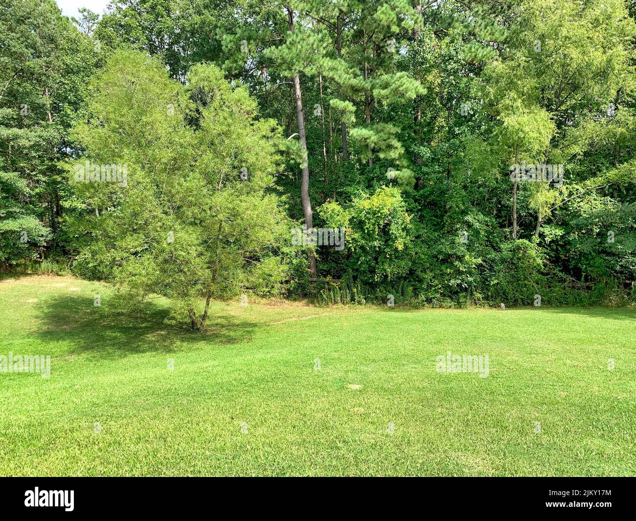 Outdoor nature and landscape setting in rural Alabama Stock Photo - Alamy