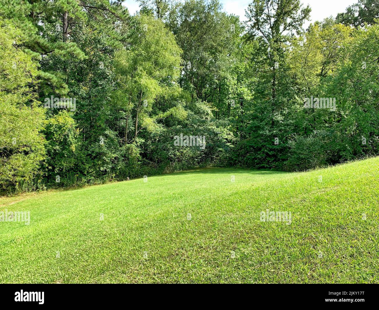 Outdoor nature and landscape setting in rural Alabama Stock Photo - Alamy