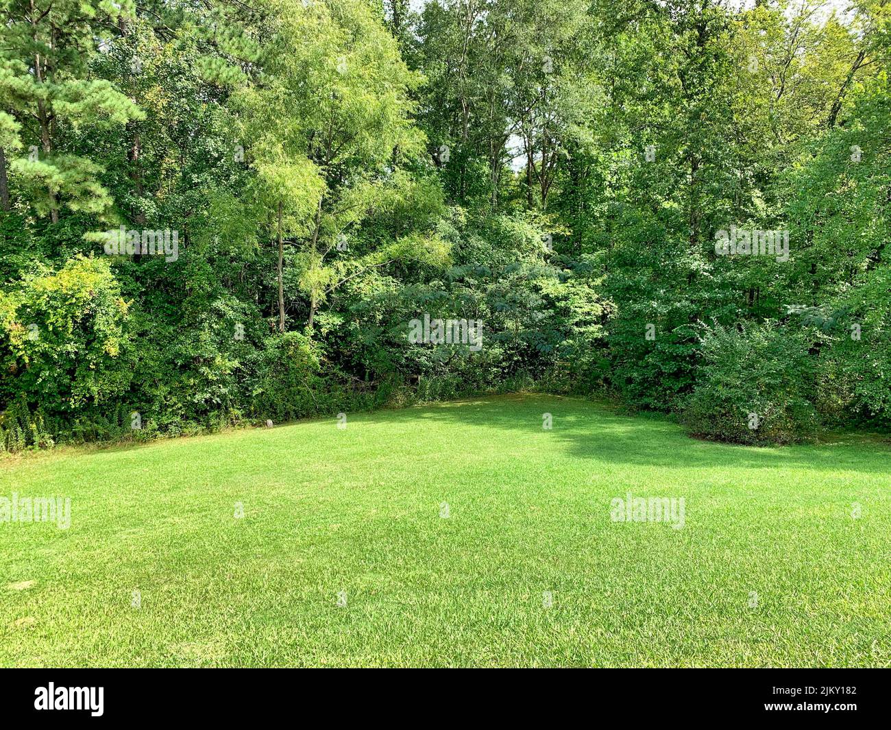 Outdoor nature and landscape setting in rural Alabama Stock Photo - Alamy