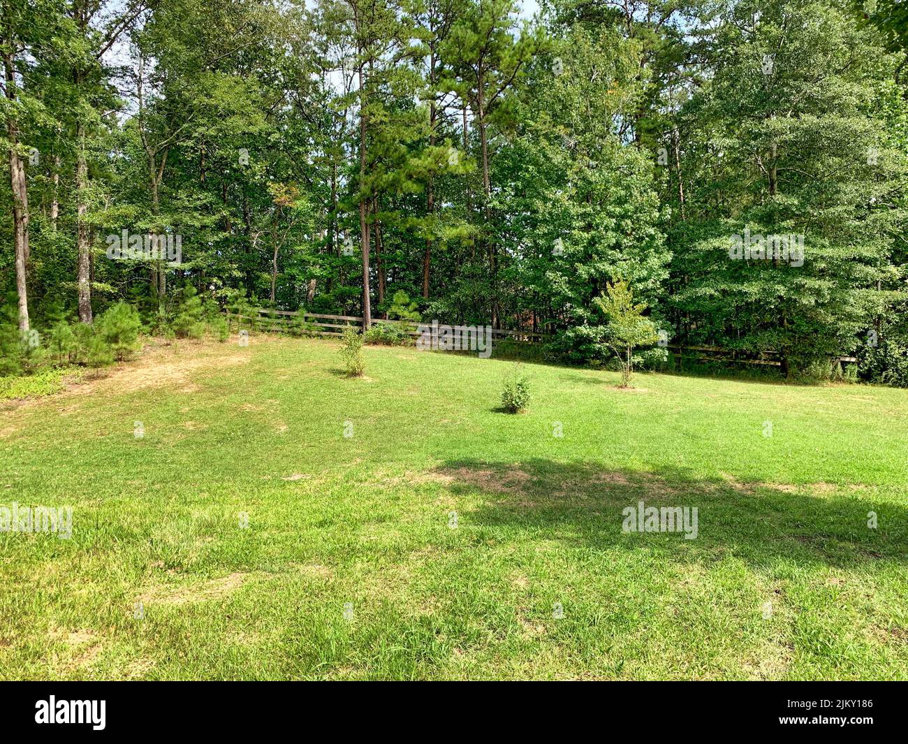 Outdoor nature and landscape setting in rural Alabama Stock Photo - Alamy