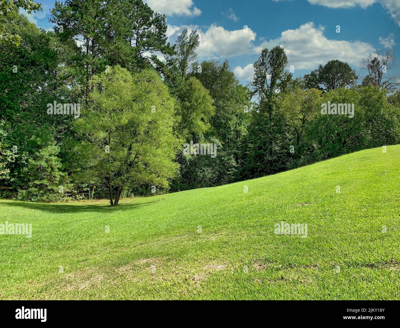 Outdoor nature and landscape setting in rural Alabama Stock Photo - Alamy