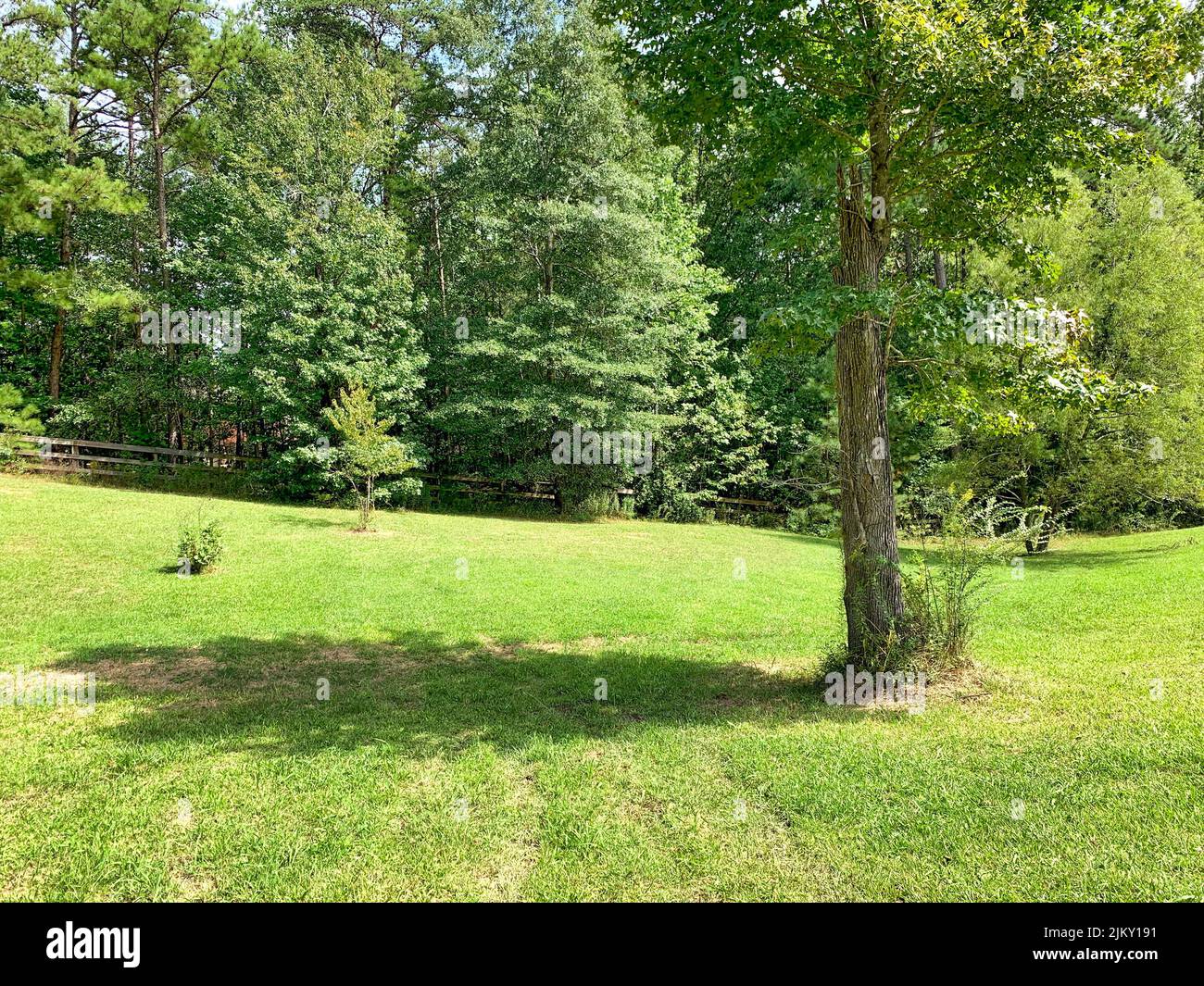 Outdoor nature and landscape setting in rural Alabama Stock Photo - Alamy