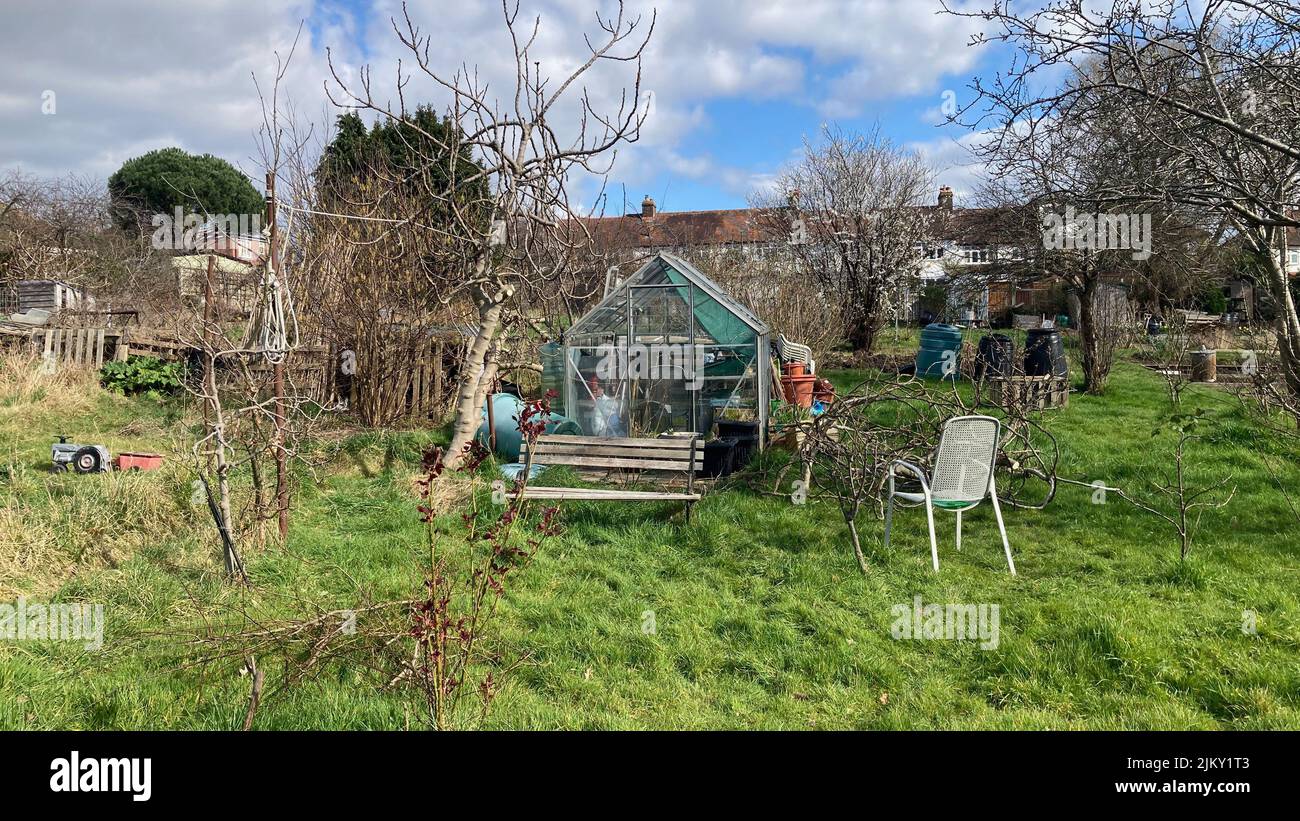 A view of greenhouse standing in an untended garden surrounded by ...