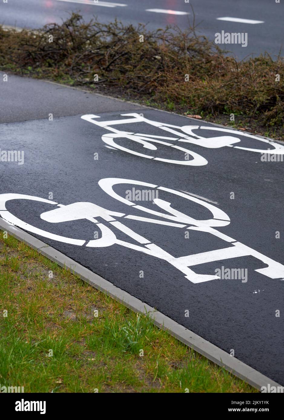 A bicycle road sign on asphalt Stock Photo - Alamy