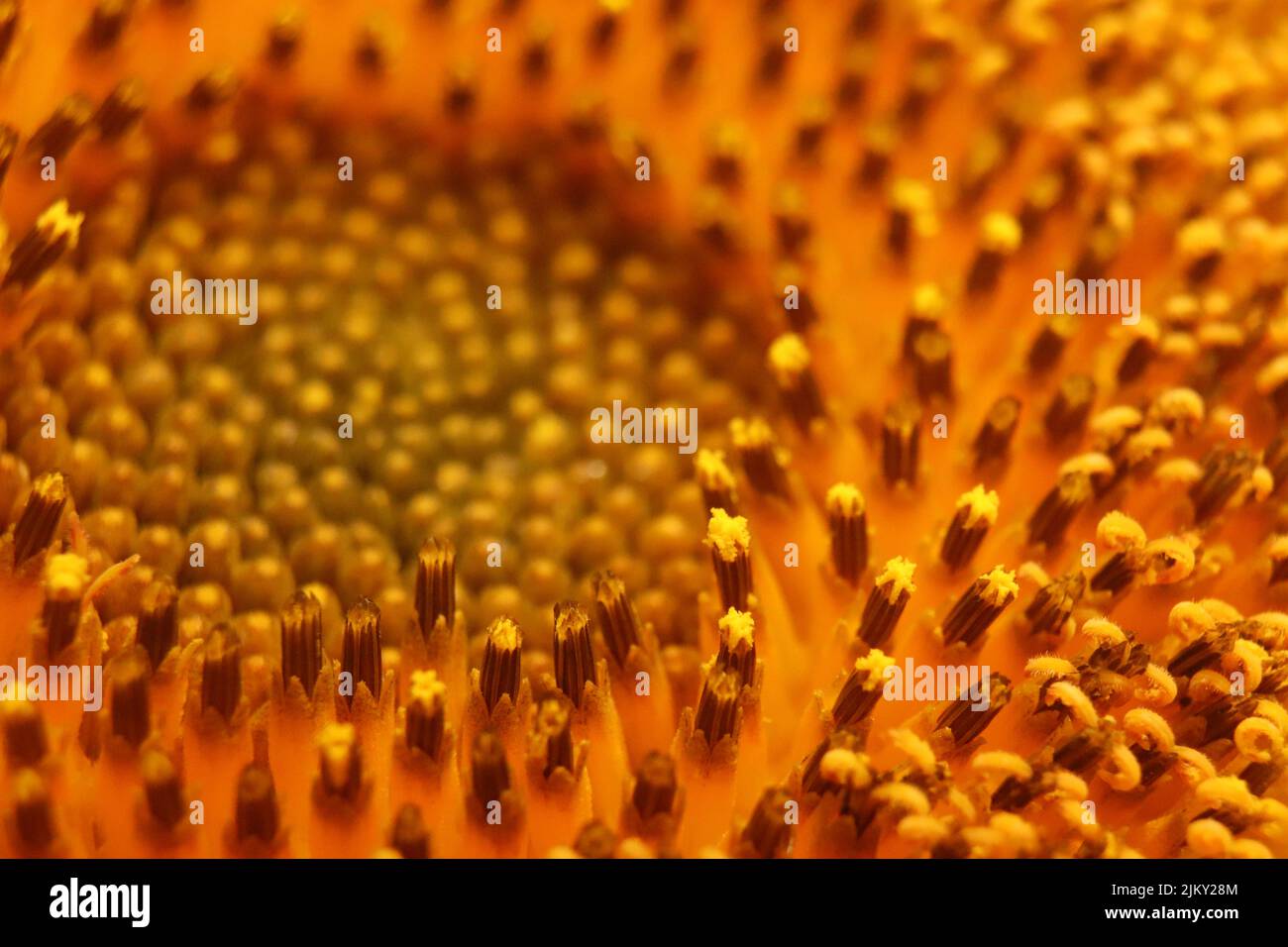 Inside yellow color hi-res stock photography and images - Alamy