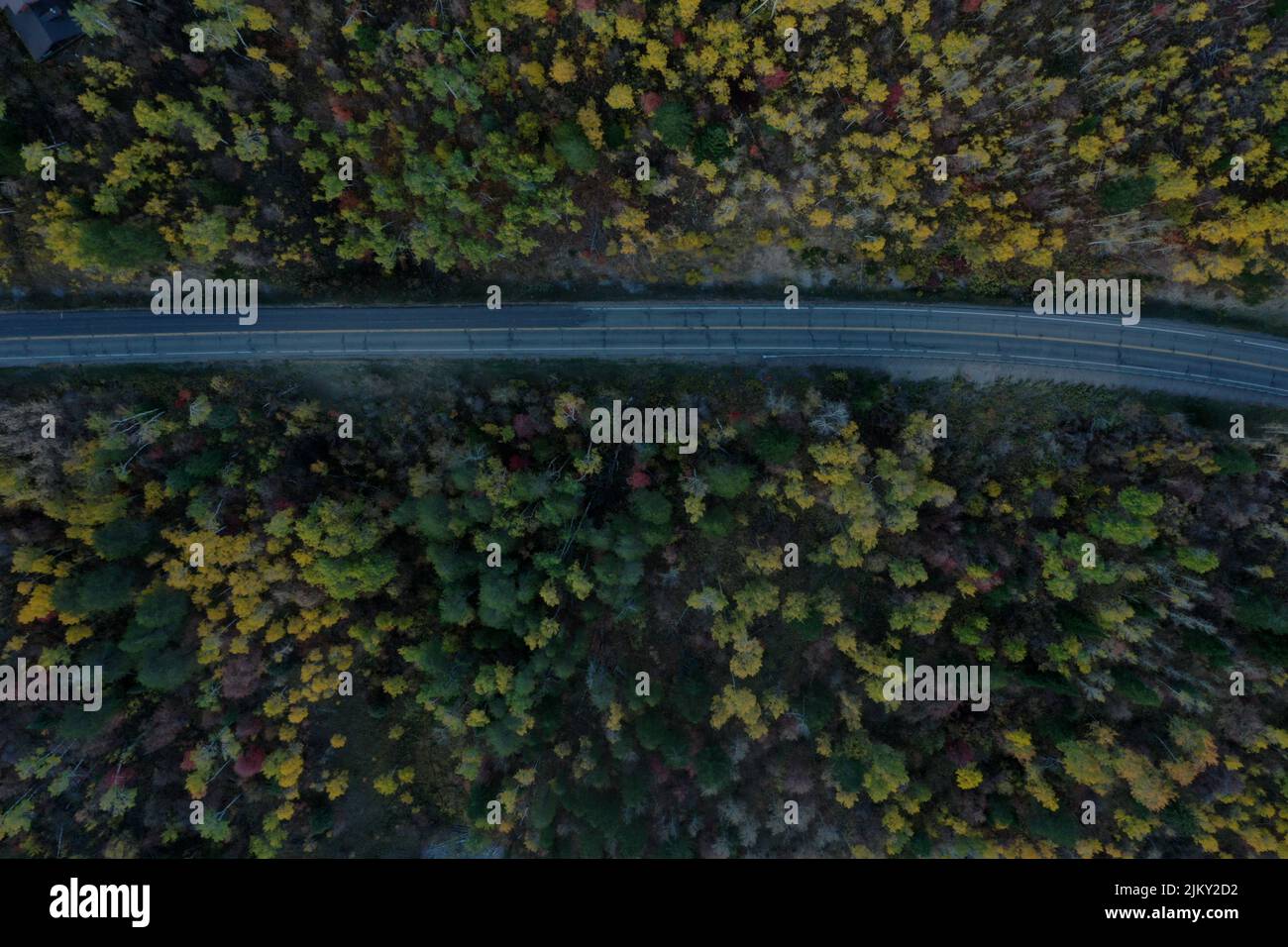 An aerial top view of a road passing through forests Stock Photo - Alamy