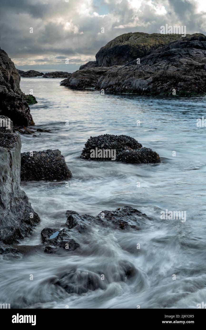 South Beach, Wickaninnish Beach, Tofino, BC Canada Stock Photo - Alamy
