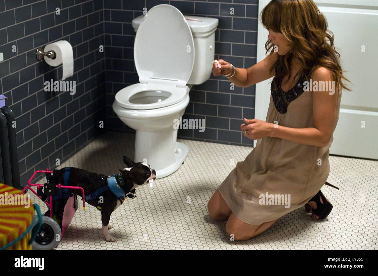 JENNIFER LOPEZ, THE BACK-UP PLAN, 2010 Stock Photo - Alamy