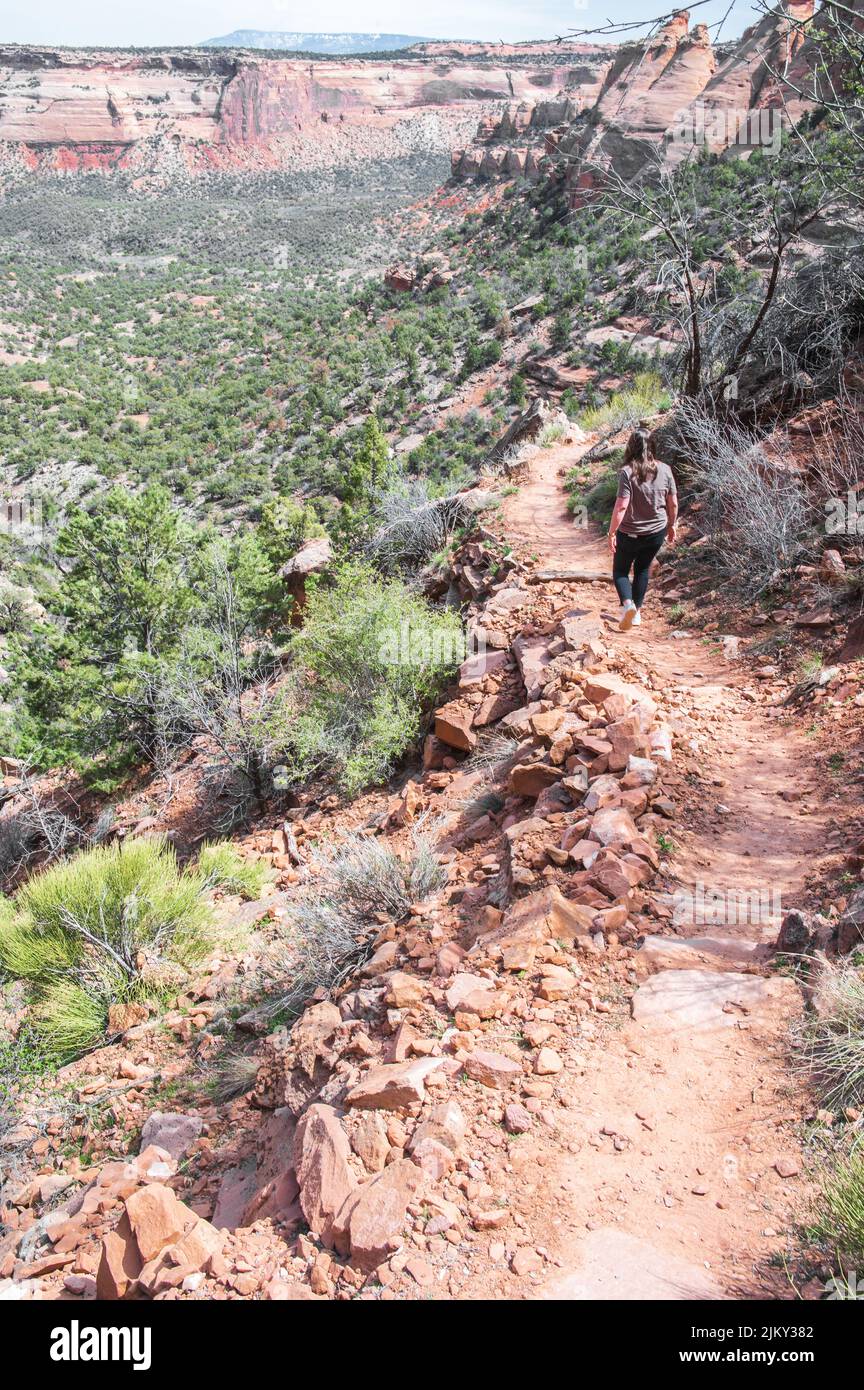 A female walking on the path in a desert with plants surrounded by ...