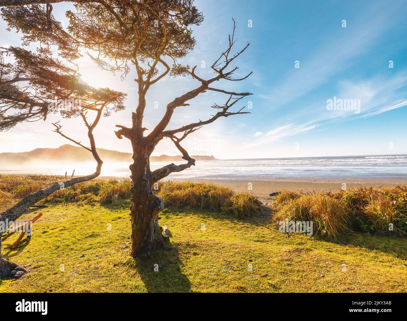 Pacific coastline containing beach, coast, and view of the pacific ...