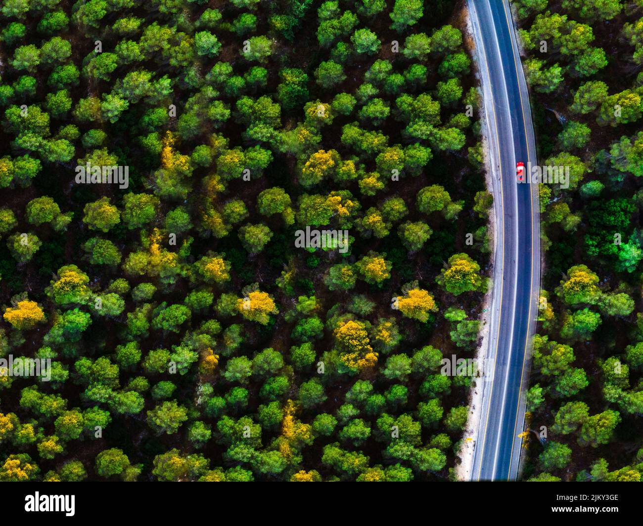 View in car beautiful trees hi-res stock photography and images - Alamy
