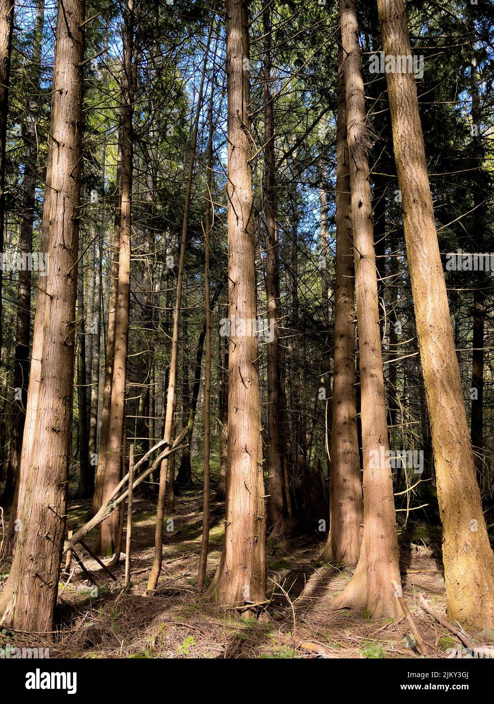 Horth hill regional park hi-res stock photography and images - Alamy