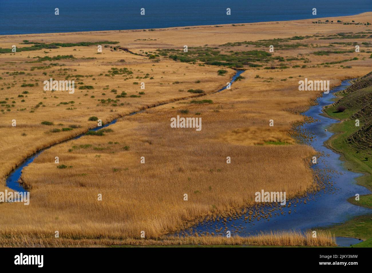 River stream grass narrow hi-res stock photography and images - Alamy