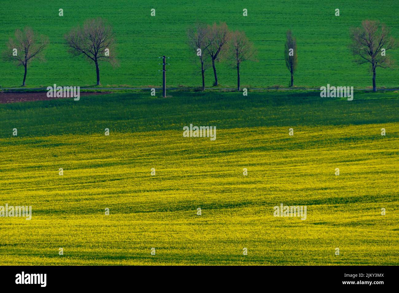 A green grass field in Dobruja, Romania Stock Photo - Alamy