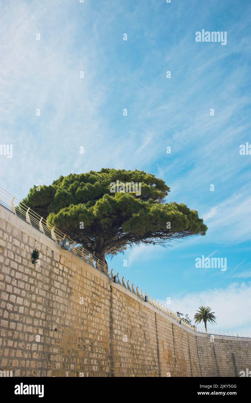 Brick fence hi-res stock photography and images - Alamy