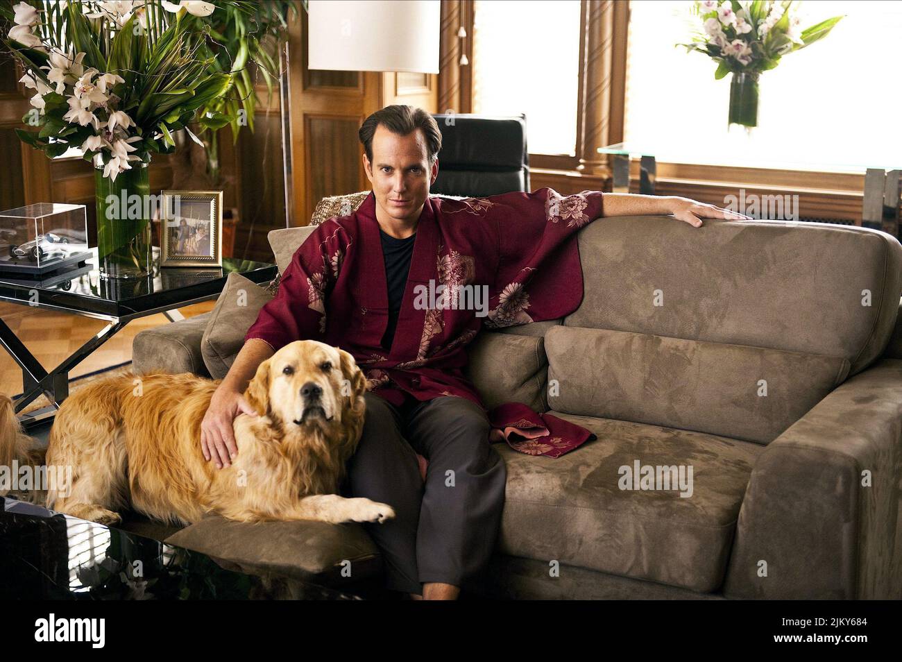 WILL ARNETT, RUNNING WILDE, 2010 Stock Photo - Alamy