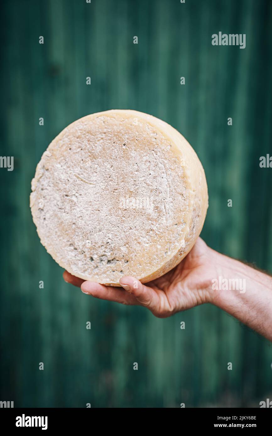 Food on wheel hi-res stock photography and images - Alamy