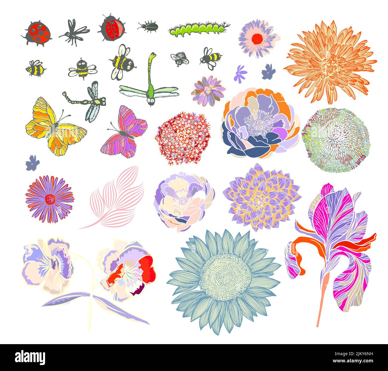 Set of cute hand drawn flowers and set of insects.. Vector illustration ...