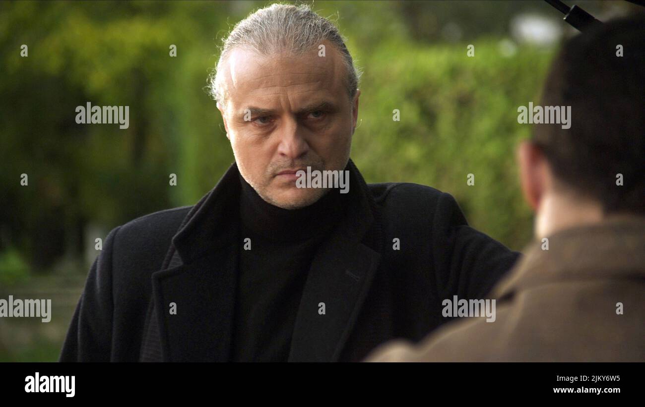 DAN BADARAU, BORN TO RAISE HELL, 2010 Stock Photo - Alamy