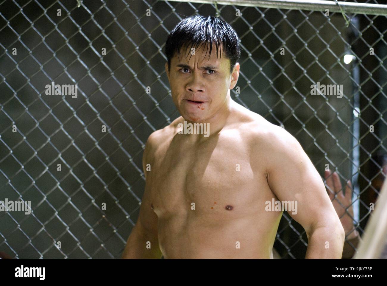 Cung Le