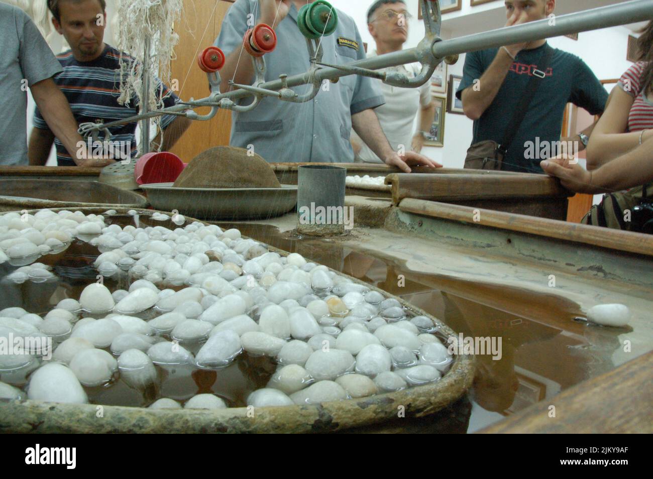 Culture of silkworms Stock Photo - Alamy
