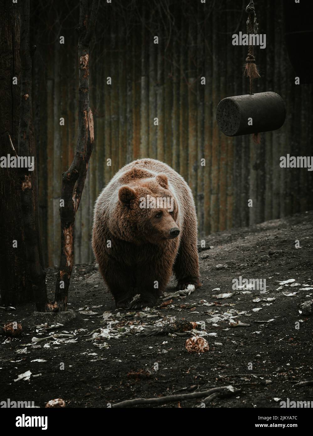 Zoo vertical hi-res stock photography and images - Alamy