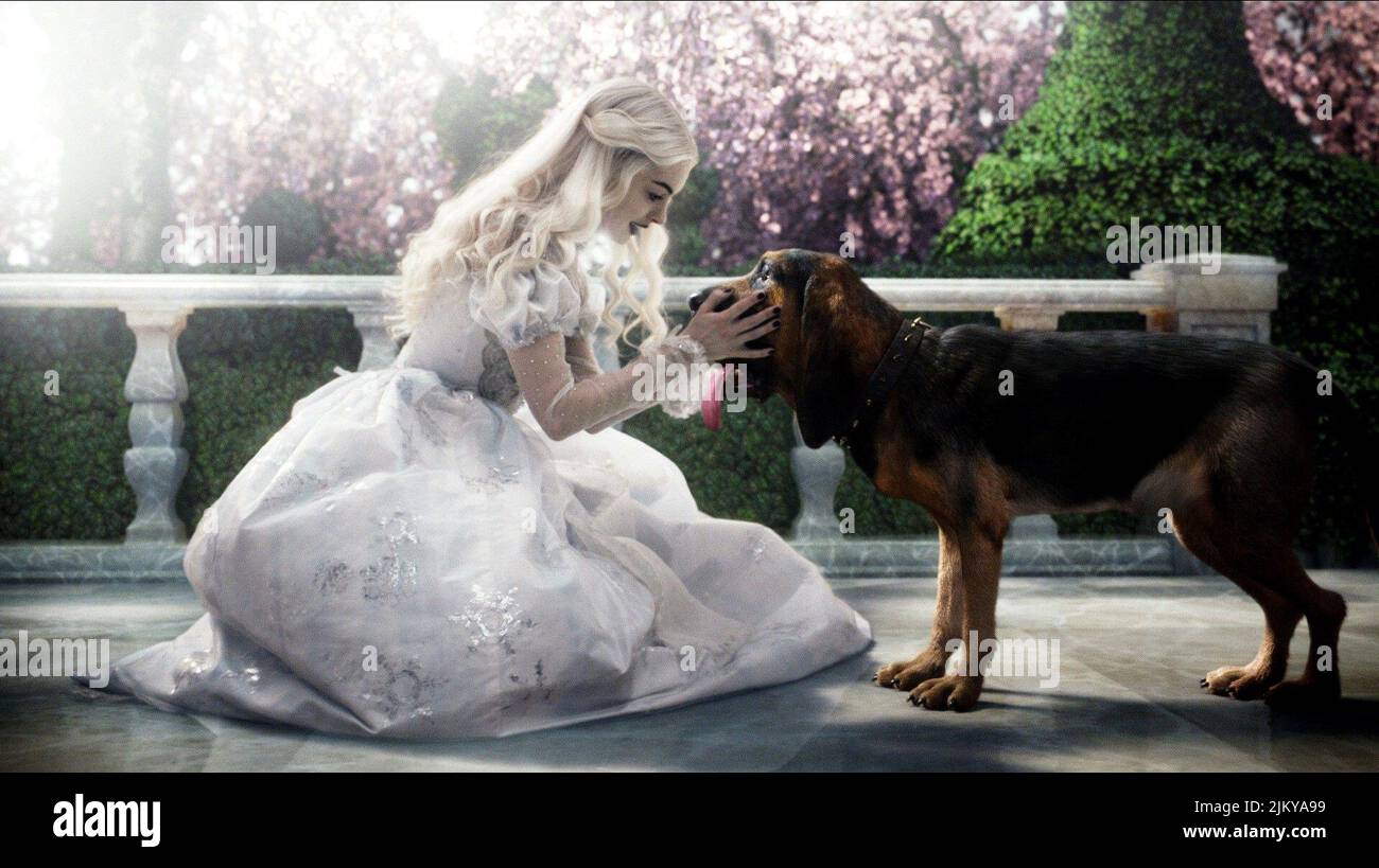 HATHAWAY,BLOODHOUND, ALICE IN WONDERLAND, 2010 Stock Photo - Alamy