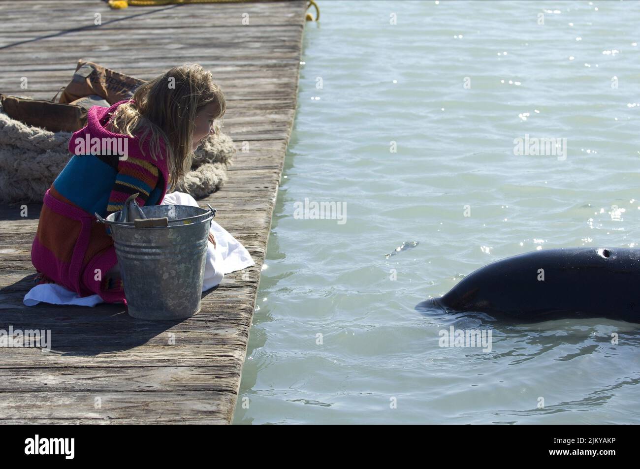 Free willy hi-res stock photography and images - Alamy