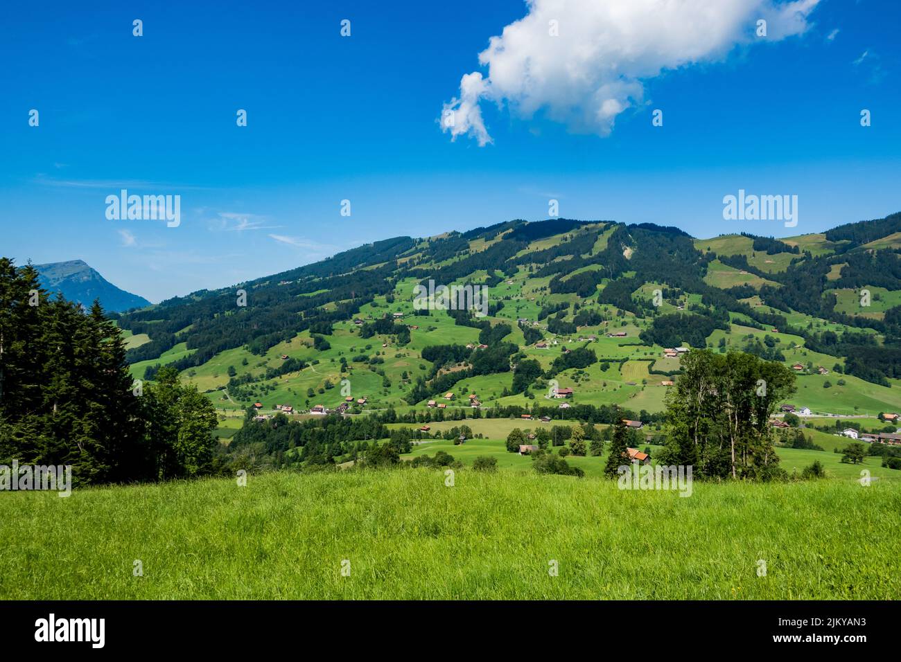 Sattel switzerland hi-res stock photography and images - Alamy