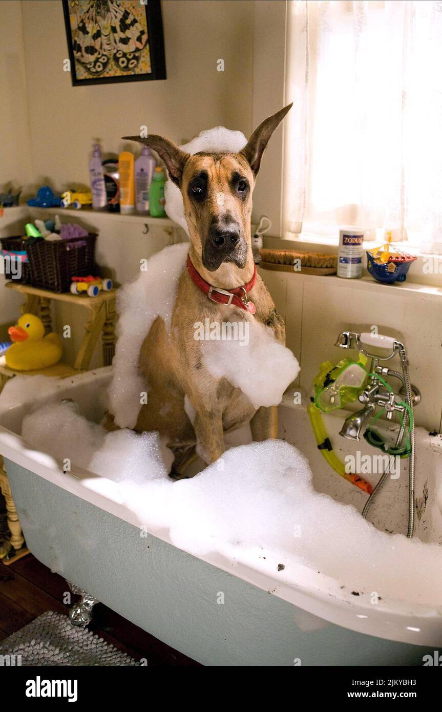 Marmaduke hi-res stock photography and images - Alamy