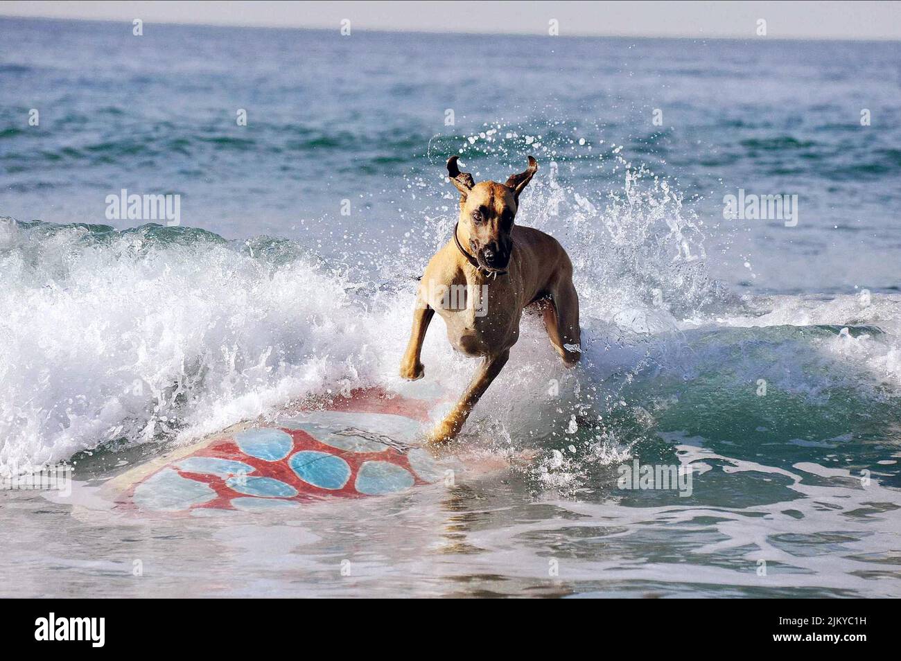 MARMADUKE, MARMADUKE, 2010 Stock Photo - Alamy