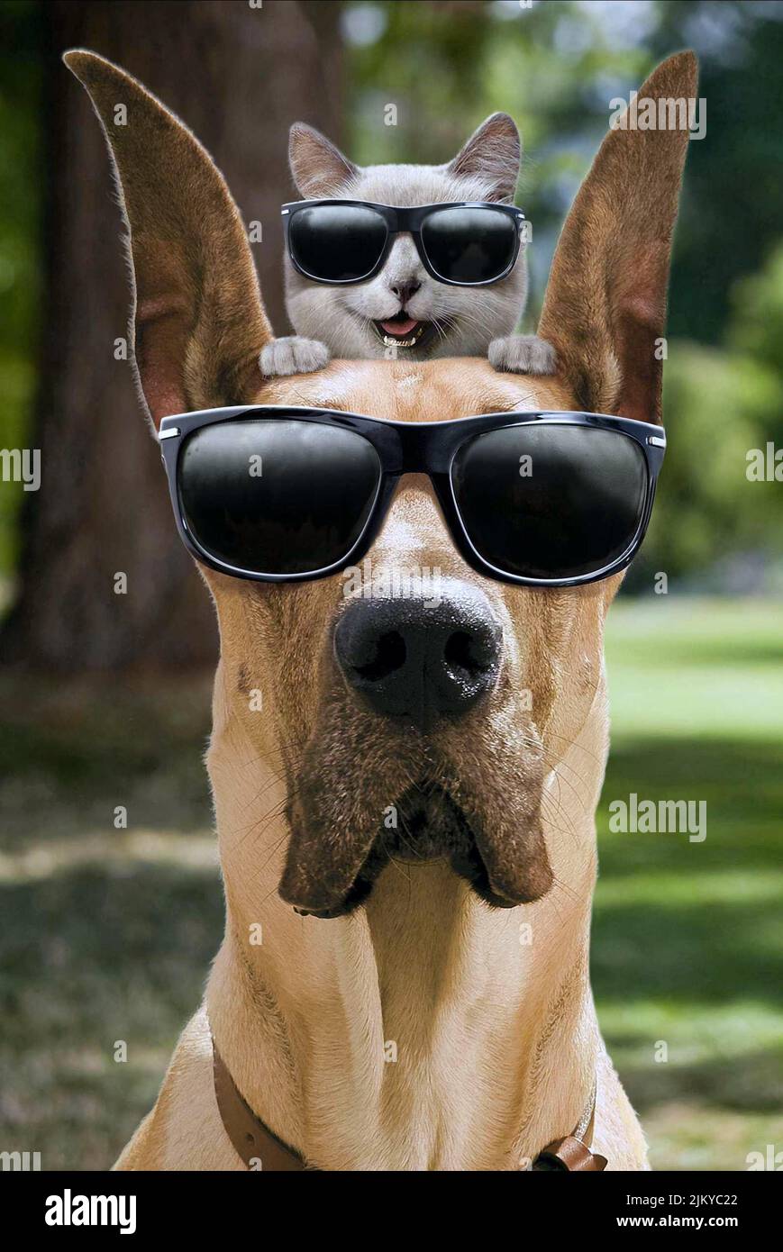 Marmaduke Movie Mazie