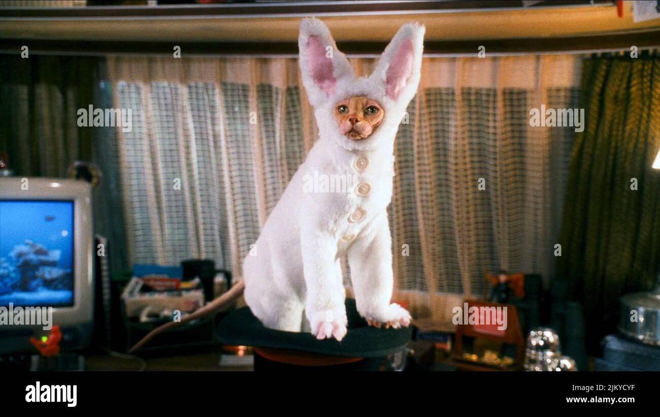 The revenge of kitty galore hi-res stock photography and images - Alamy