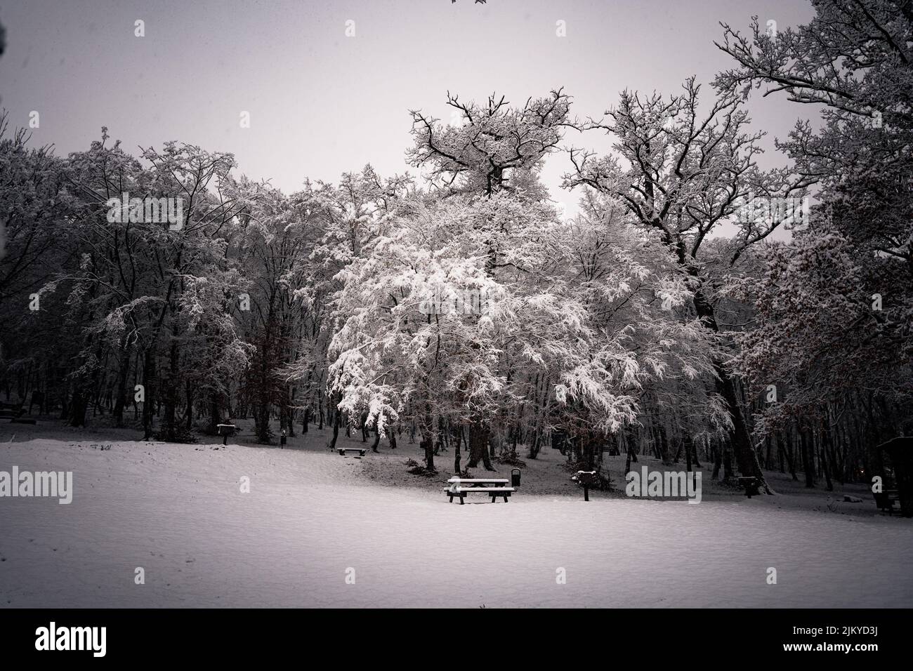 Beautiful shot white snowy hi-res stock photography and images - Alamy