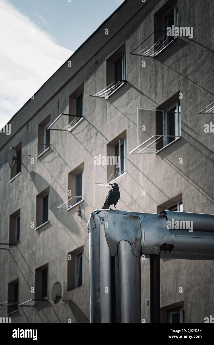 Old raven street hi-res stock photography and images - Alamy