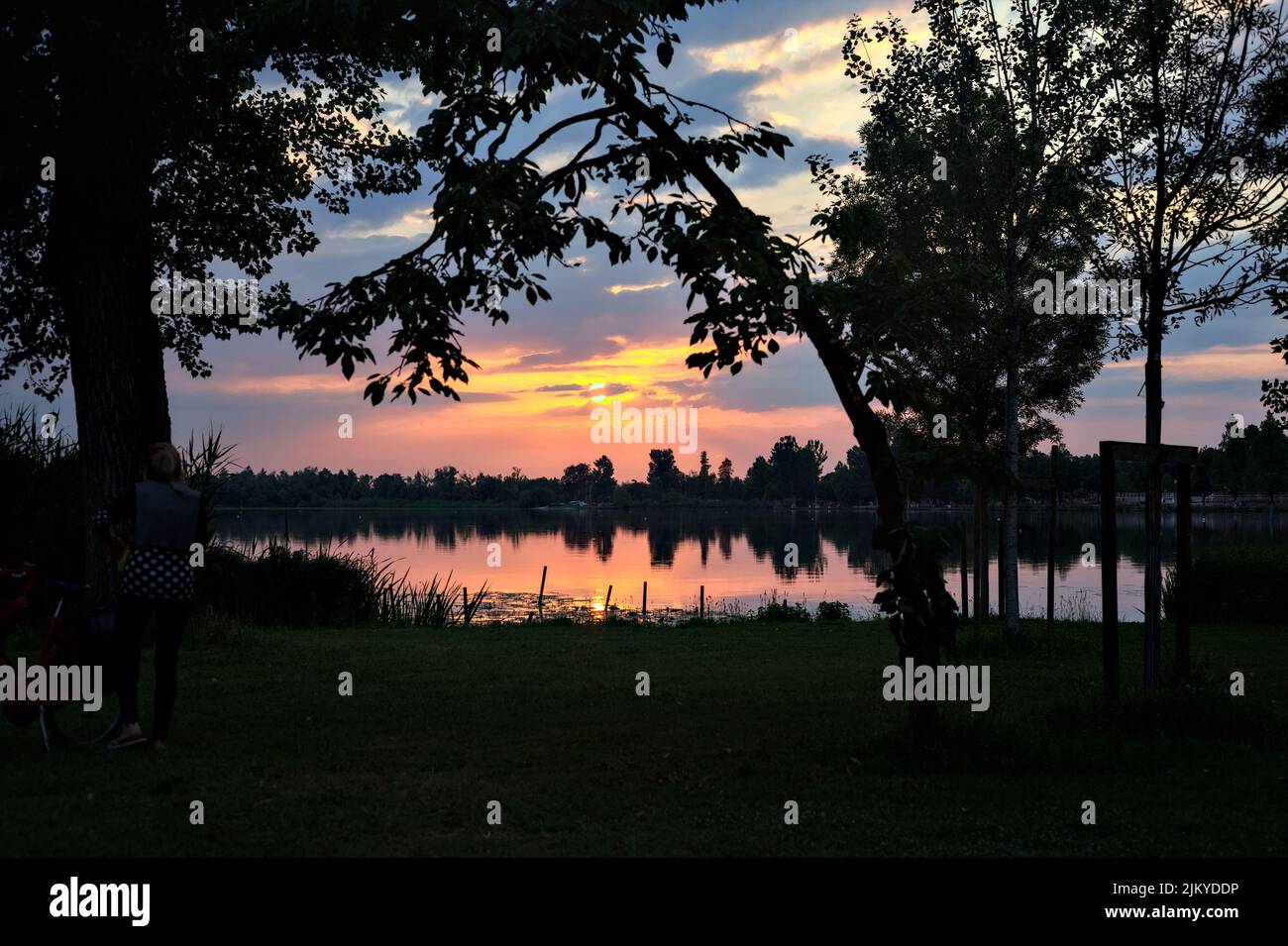 Trees by the lakeshore at sunset Stock Photo - Alamy