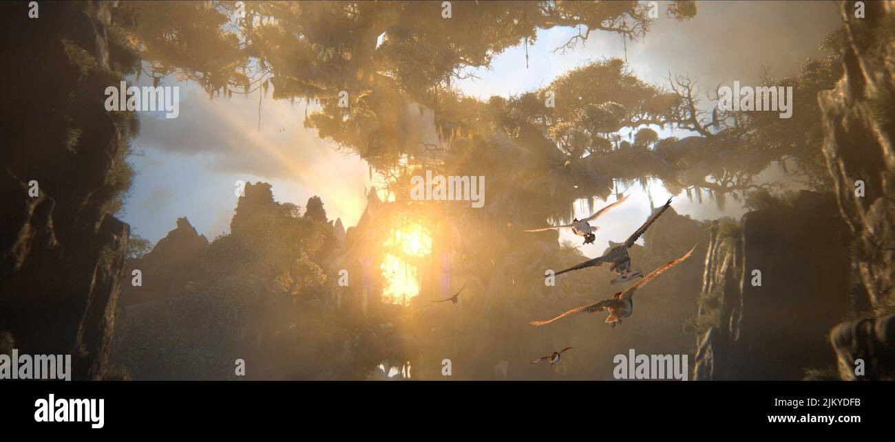 OWLS, TREETOPS SCENE, LEGEND OF THE GUARDIANS: THE OWLS OF GA'HOOLE ...