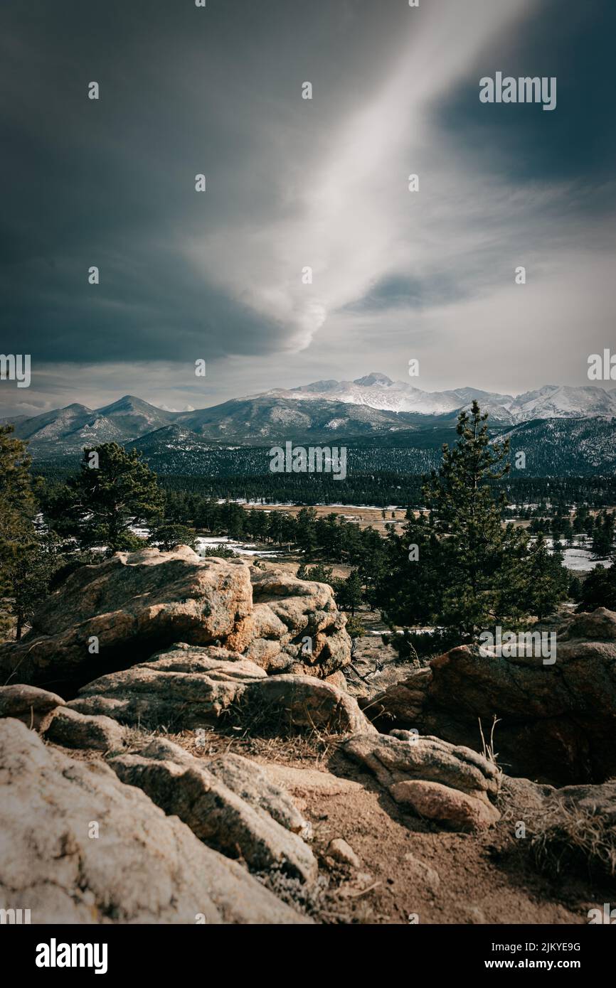 A vertical shot of a rocky field with pines on the background of snow ...