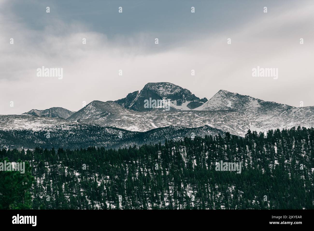 An aerial of a forest with pines on the background of snow-capped ...
