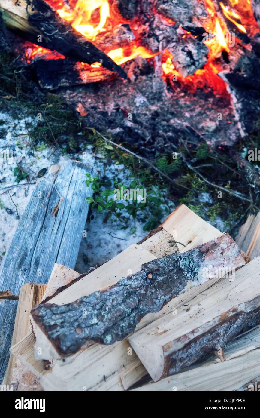 Chopped wood and a bonfire in the winter forest. winter hiking Stock ...