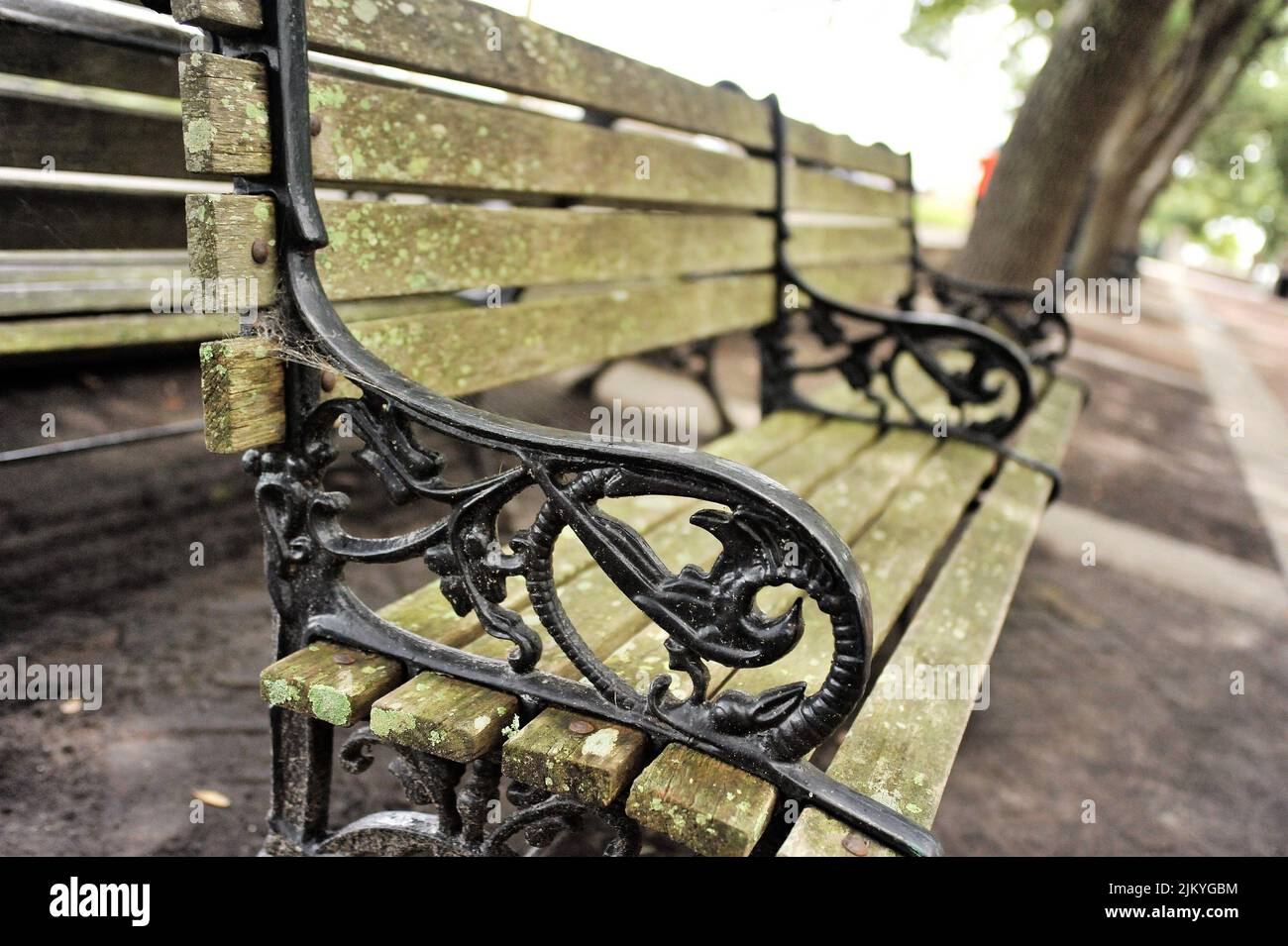 Old bench tree hi-res stock photography and images - Alamy