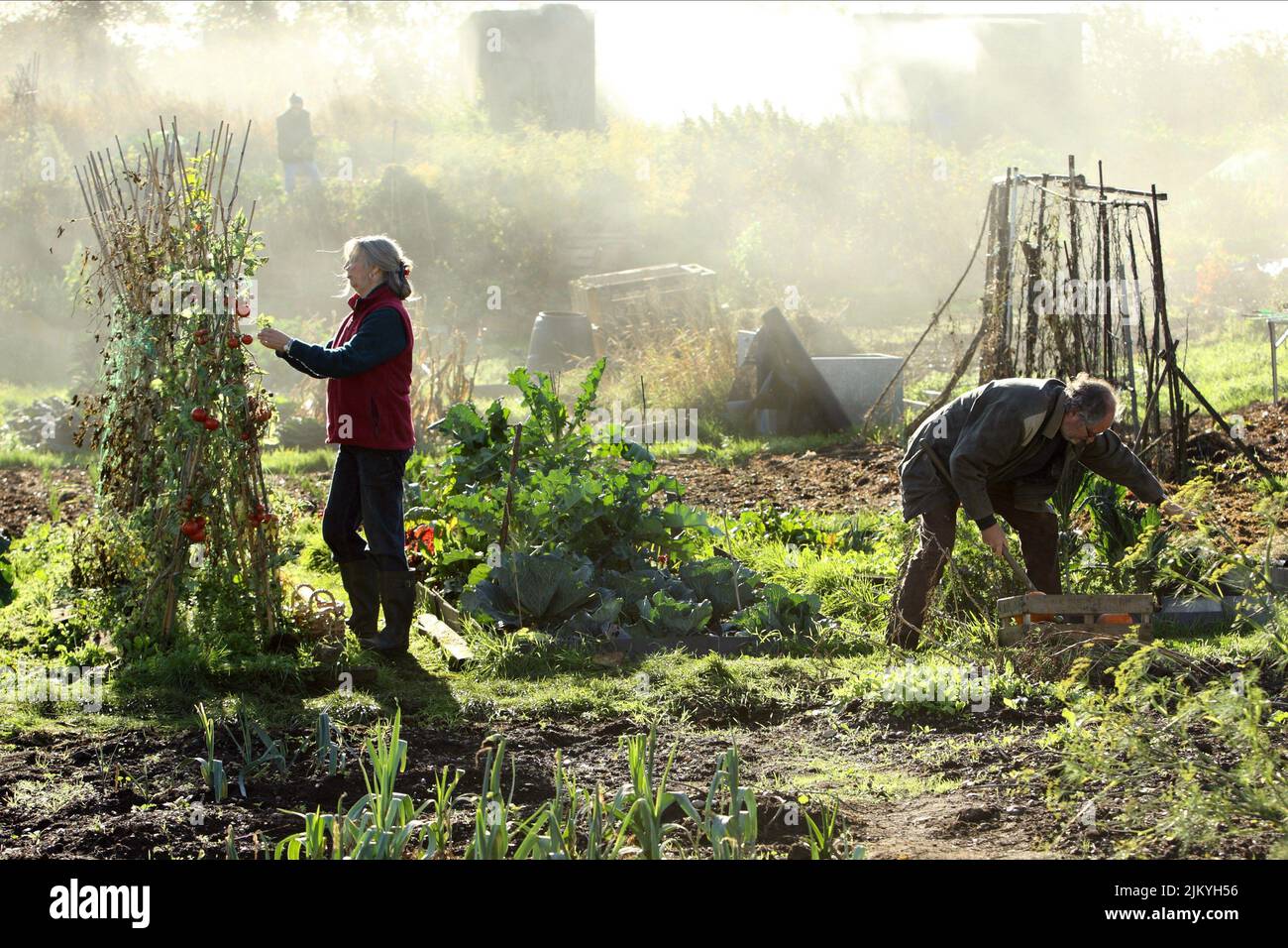 RUTH SHEEN, JIM BROADBENT, ANOTHER YEAR, 2010 Stock Photo - Alamy
