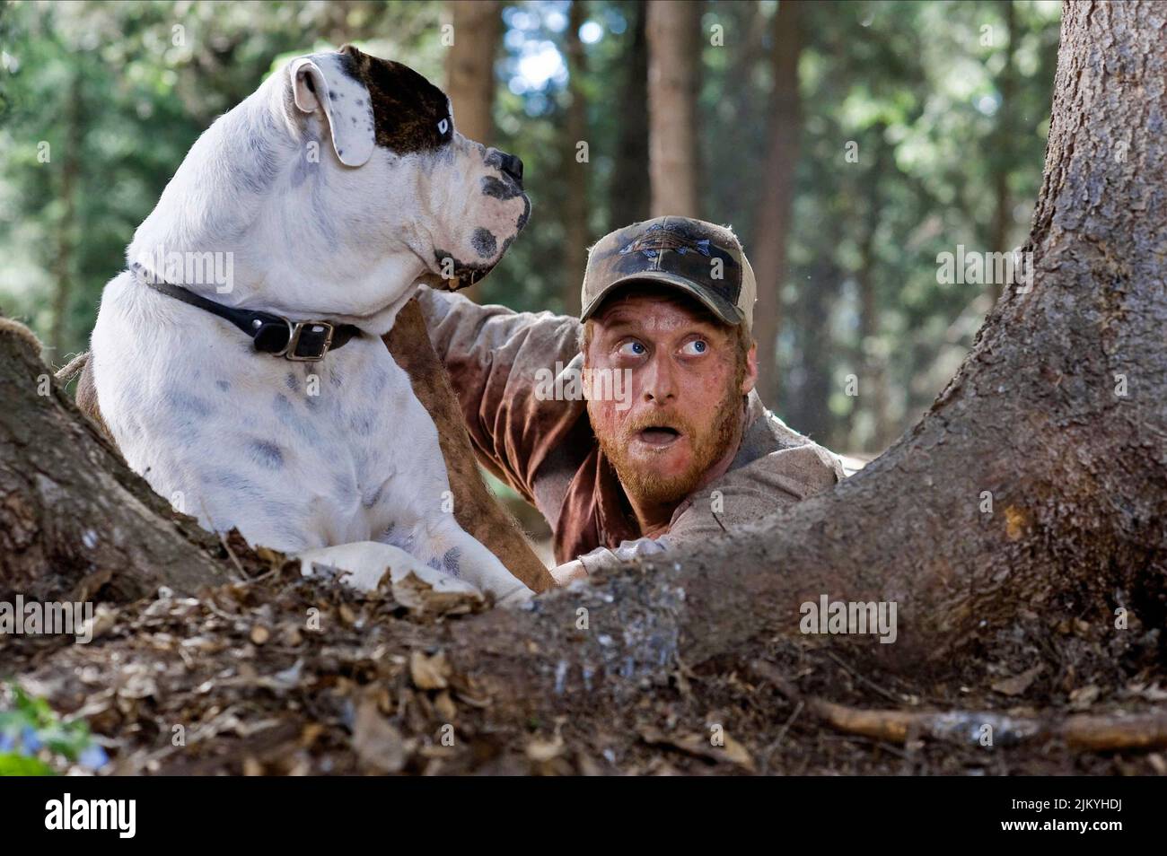 ALAN TUDYK, TUCKER and DALE VS EVIL, 2010 Stock Photo - Alamy