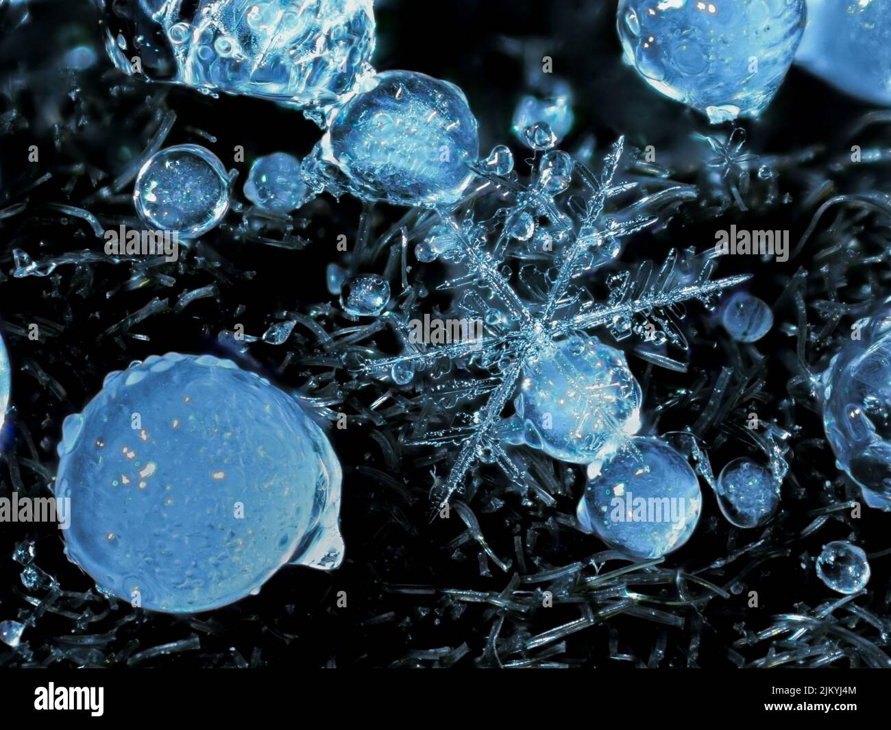 A closeup shot of a microscopic medical sample under the microscope ...