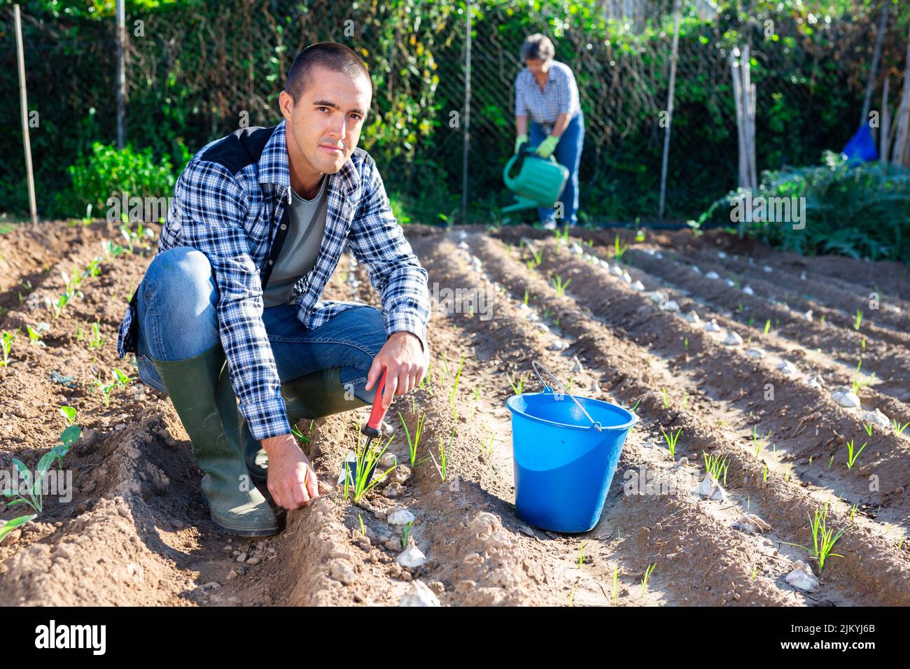 Man gardener digging soil in vegetable garden Stock Photo - Alamy