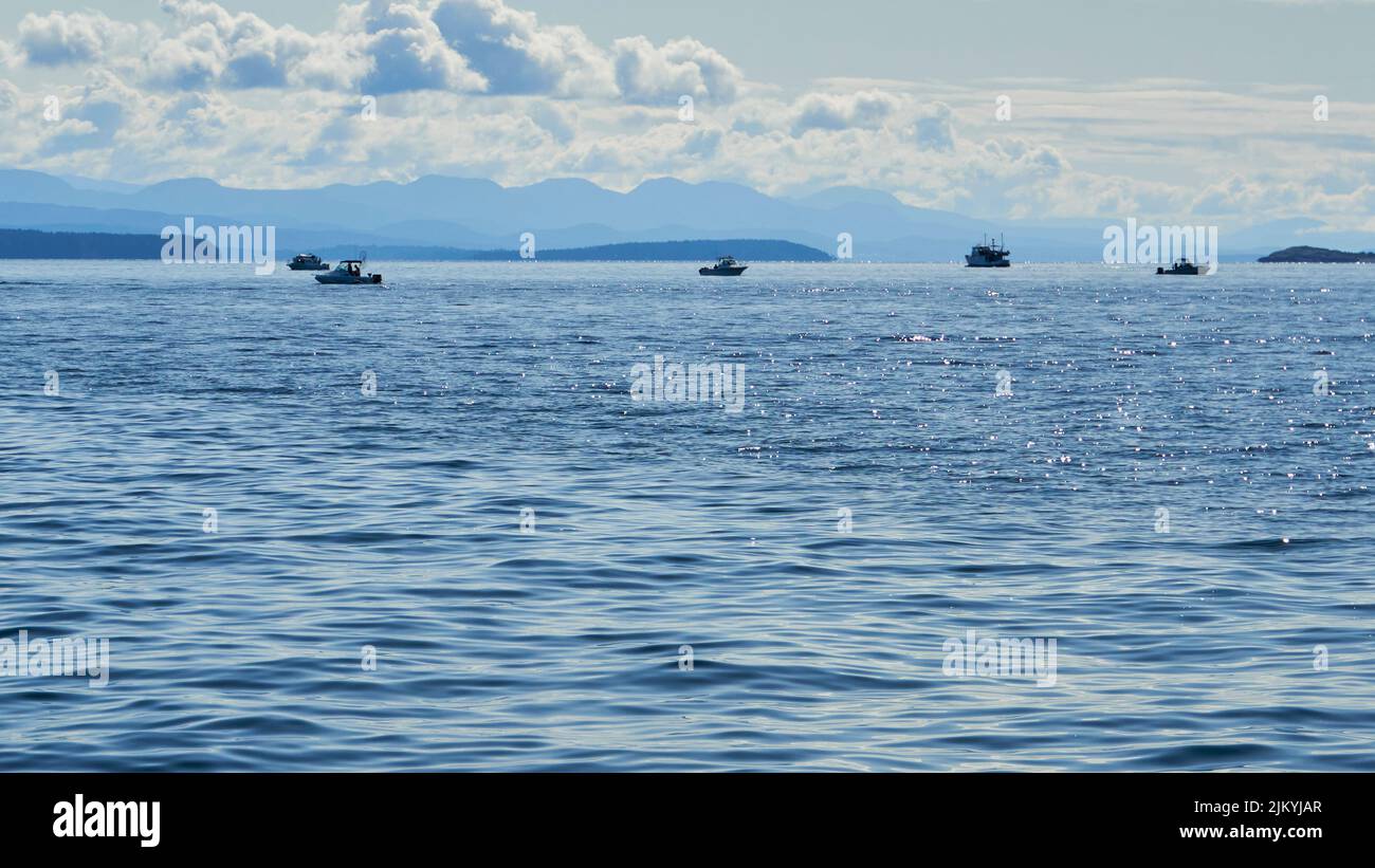 Calm for fishing hi-res stock photography and images - Alamy