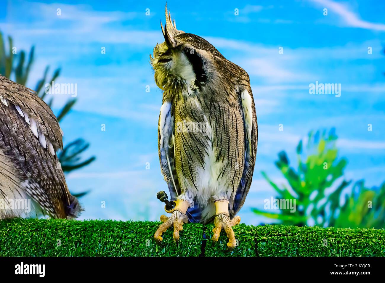 Bird barn hi-res stock photography and images - Alamy